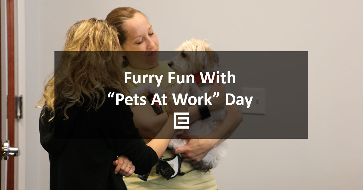 Furry Fun With “Pets at Work” Day at TheeDigital Was a Success