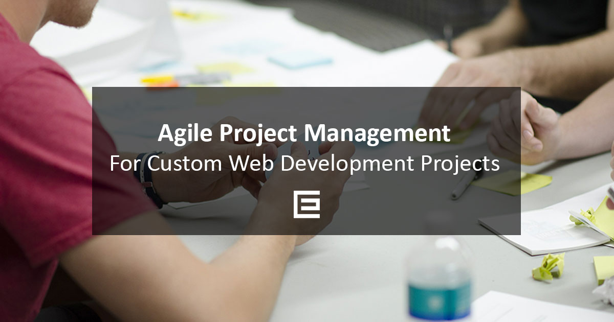 Agile Project Management for Web Development Projects