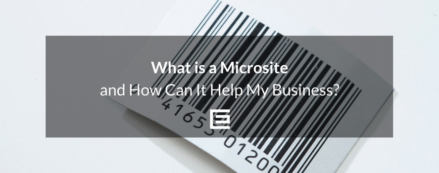 What is a Microsite and How Can It Help My Business? - TheeDigital